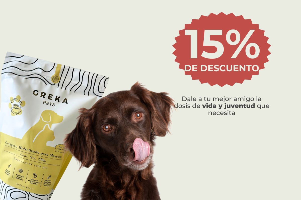 Greka collagen – Greka Collagen